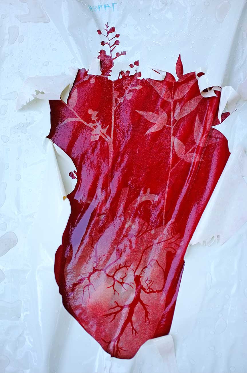 Hand-Bleached Art Prints - Masha Lamzina