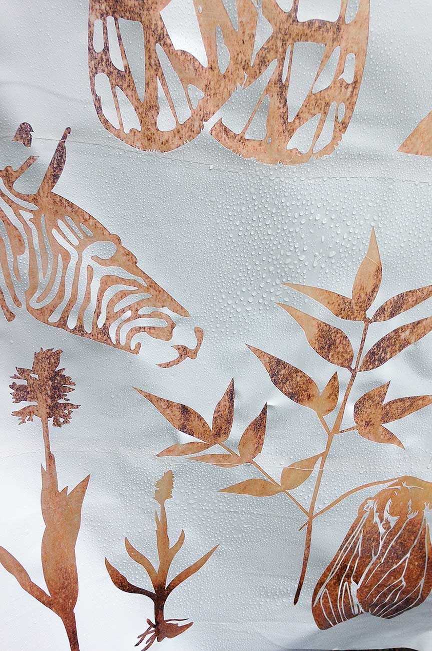 Hand-Bleached Art Prints - Masha Lamzina