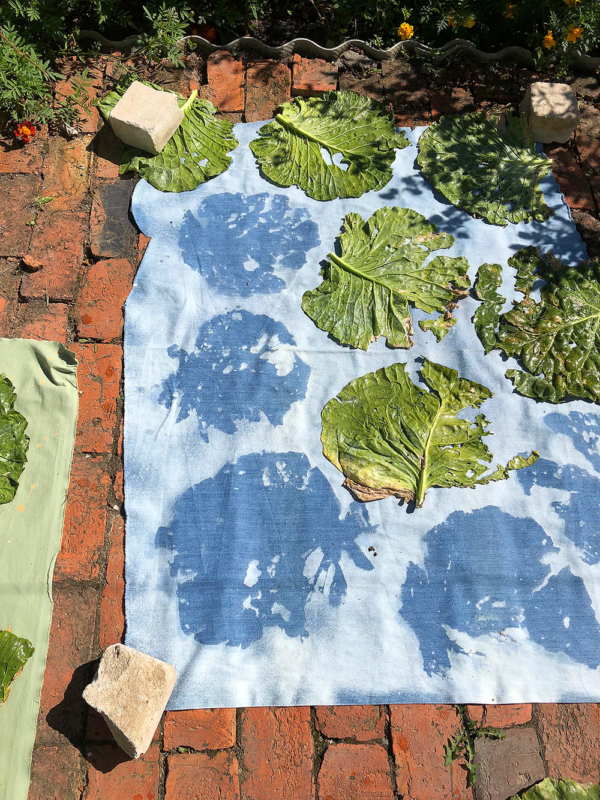 Cabbage Leaves Used as Stencils for Hand-Bleached Prints. - Masha Lamzina