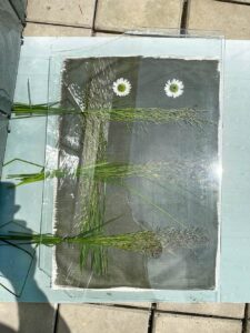 Printing Diary. Summer 2021. Cyanotype Cyrillic Letters. - Masha Lamzina